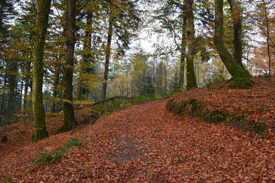 Velling Koller – en perle i søhøjlandet - Fantastiske Ferier