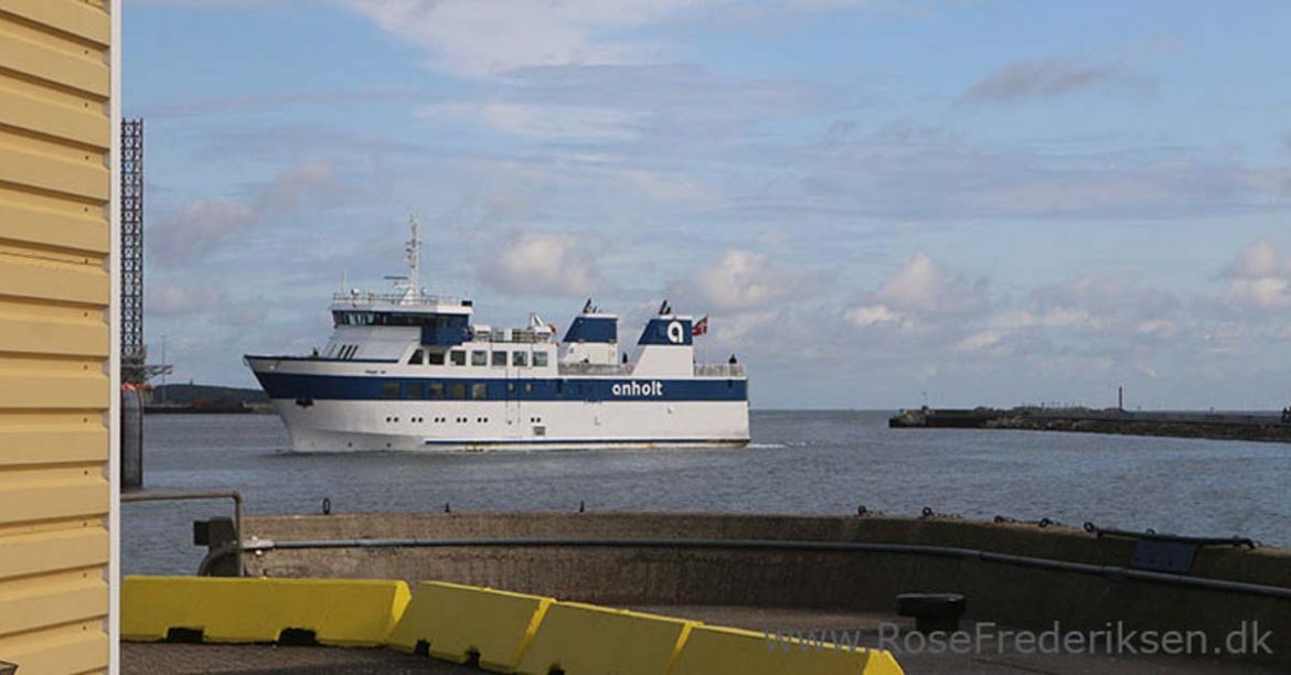 Anholt Havn - Spændende weekendtur i Anholt natur - Fantastiske Ferier